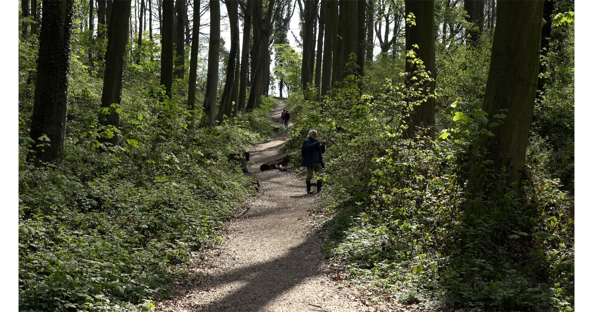 Blog | Jan Ketelaars over Eeuwige Bossen – Limburg Film Office